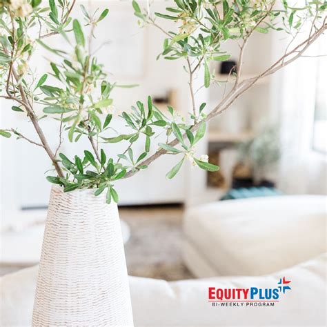 Customercentric Equityplus The Equity Plus Program