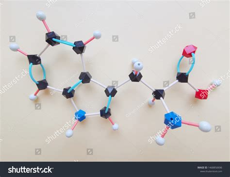 Molecular Structure Model Tryptophan Molecule Tryptophan Stock Photo 1468850696 Shutterstock