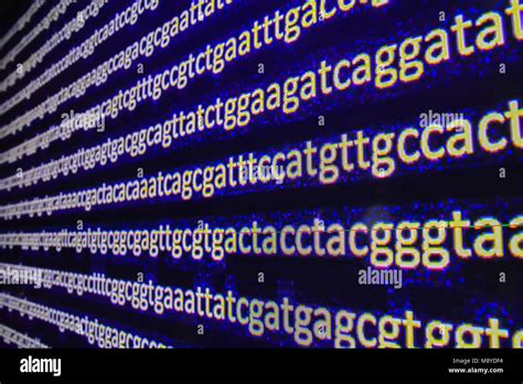 Genome Sequencing The Deciphering Of The DNA Code Write The Sequence Of Nucleotide Bases Stock