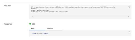 Query And Path Parameters In Ibm Api Connect