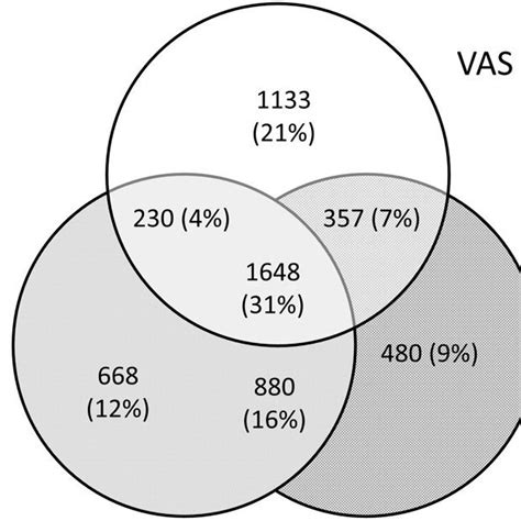 Diagram Showing The Variation In Breast Density Assessment For Women Download Scientific