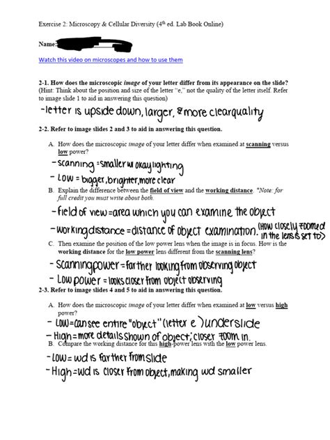 lab 2 pdf