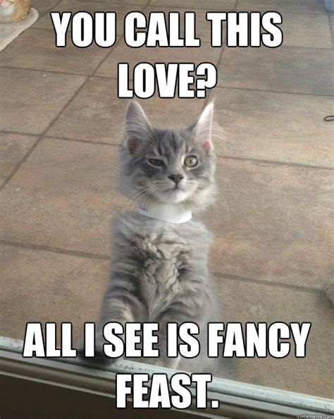 Skeptical Kitten Memes Quickmeme