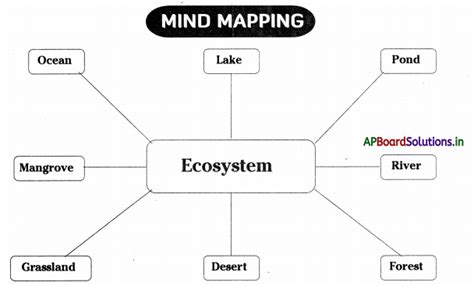 Ap State Board 9th Class Biology Notes Artofit