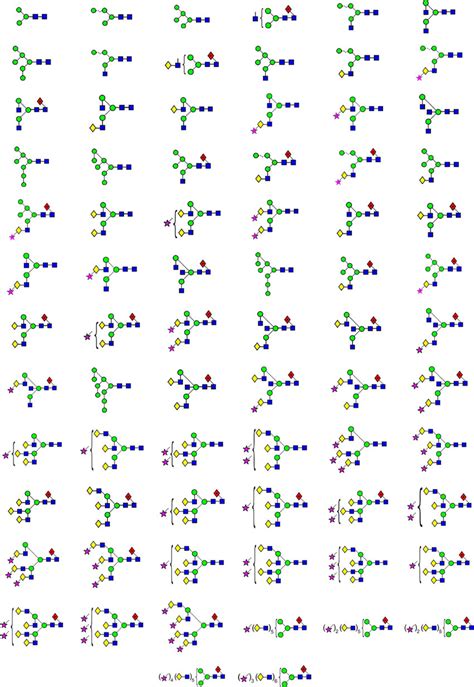 Scheme 1 Structures Of The Glycans Identified In The Gp120 Samples