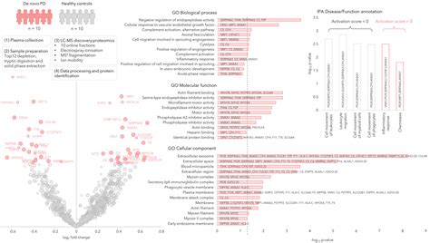 Protein Biomarker Discovery Service Mtoz Biolabs