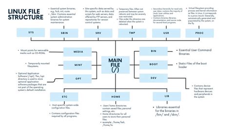 Sreenivasulu Malagundla On Linkedin Linux File System Hierarchy
