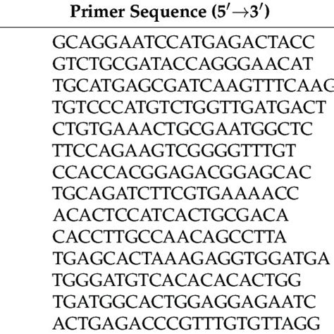 Primer Sequences Of Candidate Reference Genes Used For Qrt Pcr Analysis Download Scientific