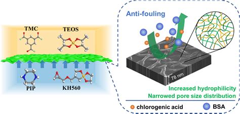Researchers Regulate Pore Size Distribution To Improve Nanofiltration Membrane Mirage News