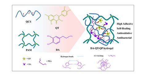 Mussel Inspired Multifunctional Hydrogels With Adhesive Self Healing