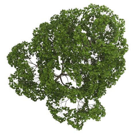 Cgaxis Models Volume 28 Fbx Obj 3d Model 99 Fbx Obj Unknown Free3d