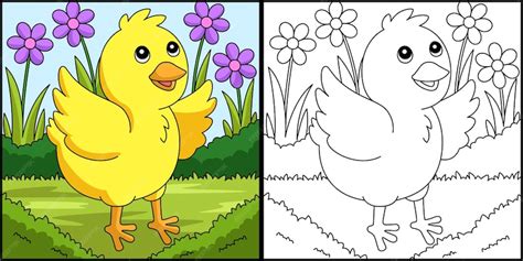 병아리 색칠 공부 페이지 컬러 일러스트 프리미엄 벡터