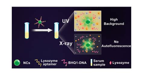 X Ray Nanocrystal Scintillator Based Aptasensor For Autofluorescence Free Detection Analytical