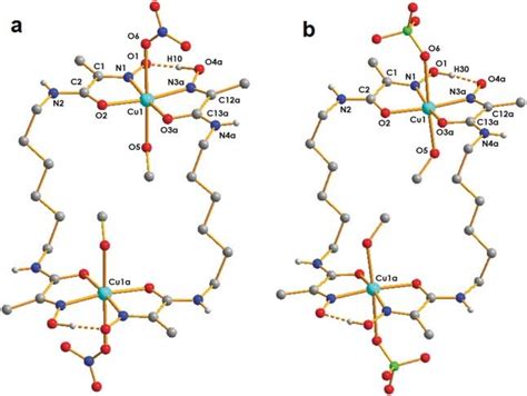 Molecular Structures Of 4a A And 4b B Showing The Atomlabeling