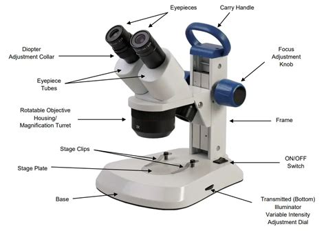 Accu Scope Exs 210 Stereo Microscope Instruction Manual