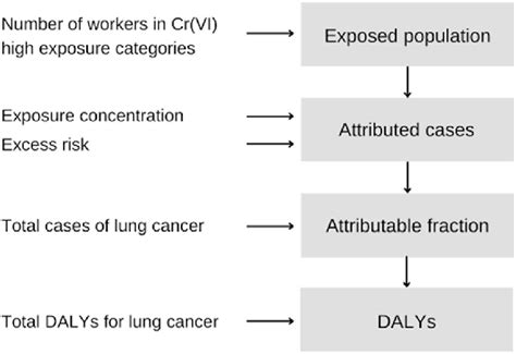 Model Adopted For Dalys Estimation Of Lung Cancer Associated With Download Scientific Diagram