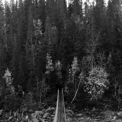 Anna Norberg Reviews And Ratings On Musicboard