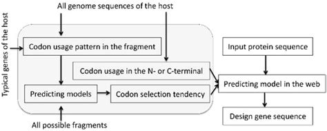 Ijms Special Issue Expanding And Reprogramming The Genetic Code