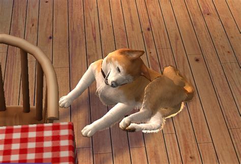 Mod The Sims Akita Inu Or Shiba Inu