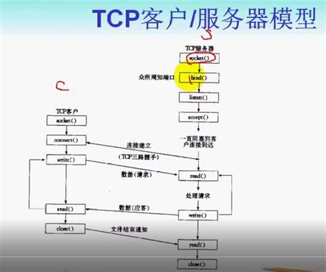 Tcp连接与服务器编程详解 Csdn博客