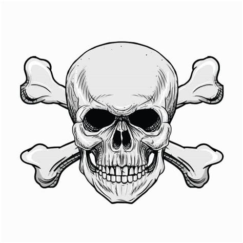 Tête De Mort Avec Os Croisés Sur Fond Blanc Png Dessin De Crâne