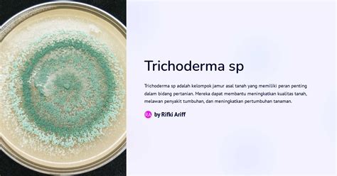 Trichoderma Sp