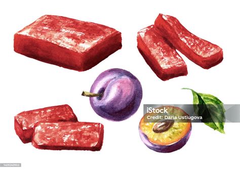 수제 매실 과일 마멀레이드 잼 젤리 흰색 배경에 고립 된 손으로 그린 수채화 그림 건강한 식생활에 대한 스톡 벡터 아트 및 기타 이미지 건강한 식생활 과일 다양