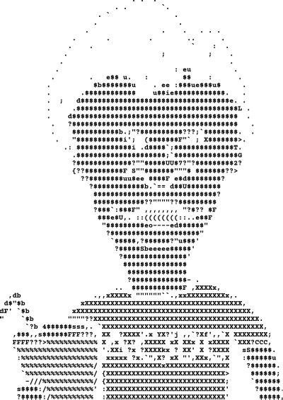 动物 猫 Ascii 艺术画
