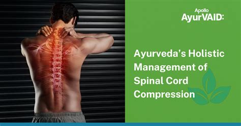 Spinal Cord Compression Spinal Cord Compression Scale
