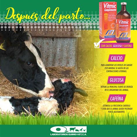 ️vitmic Complemento Además De Laboratorios Quimio Vet