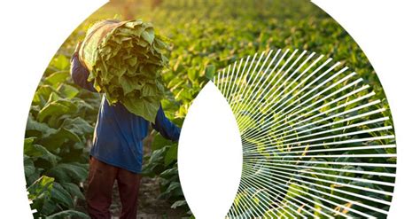 Navigating Climate Risks With Confidence Deloitte Netherlands