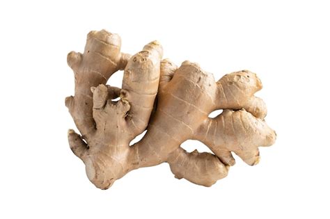 Premium Photo Ginger Rhizome Isolated On White Background Herb