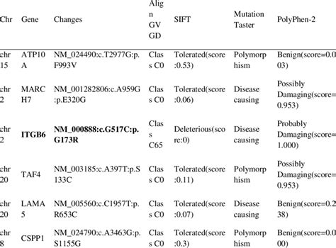 in silico analysis of the filtered variants download table