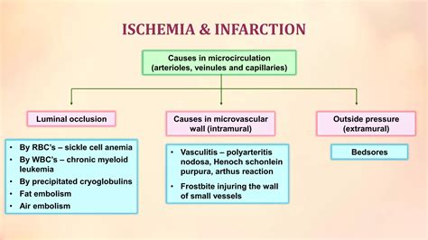 Ischemia And Infarction Pdf