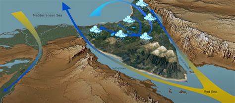 Greening The Sinai Peninsula Climate Action Tai Tokerau