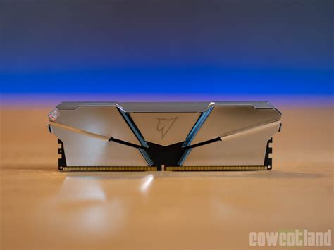 Test Mémoire Netac Shadow Rgb 5600 C40 Une Belle Surprise
