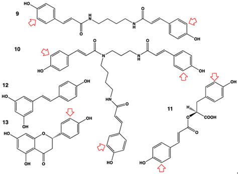 Biomolecules February 2023 Browse Articles