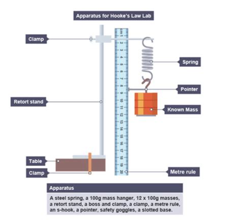 Forces And Elasticity Flashcards Quizlet