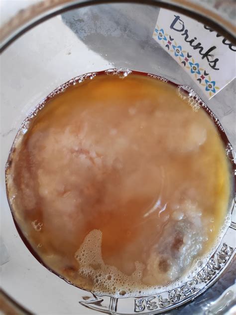 Is My Scoby Still Healthy R Kombucha