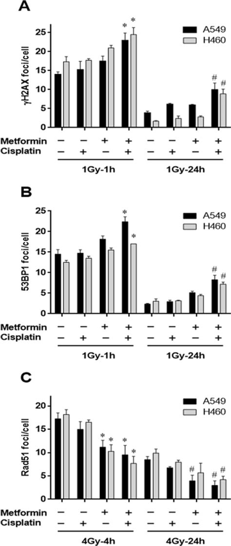 Metformin Enhances The Radiosensitizing Effect Of Cisplatin In Non Small Cell Lung Cancer Cell
