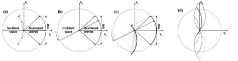 Principle Of Holographic And Tomographic Diffractive Microscopy In Download Scientific Diagram