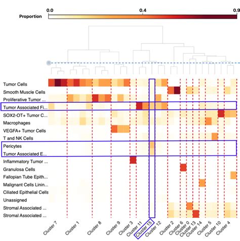 Spatial Cell Type Domain Detection Bioturing