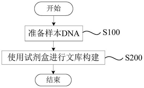 kit and method for constructing dna library eureka patsnap