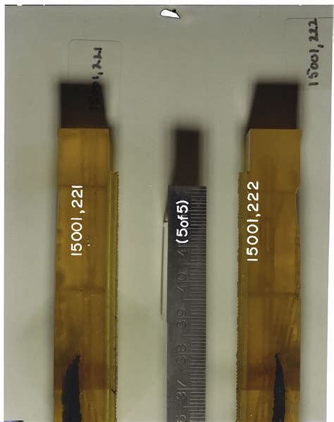 Apollo Sample Description