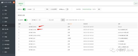 Linux系统利用宝塔面板安装MysqlTomcatJava 环境教程 HangBlog 博客园