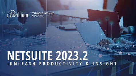 NetSuite Unleashing Productivity And Insight Terillium