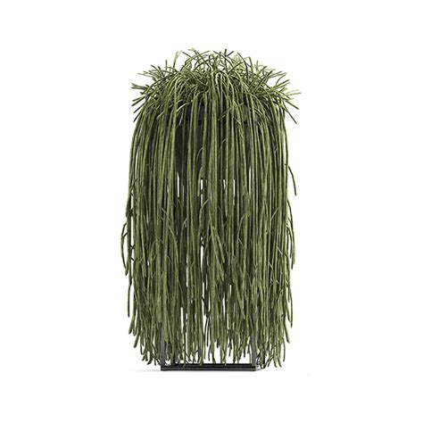 6 Teeth Rake The Lawn Team