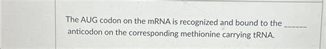 Solved The Aug Codon On The Mrna Is Recognized And Bound To