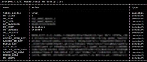 Most Useful WP CLI Commands With Examples Error Fixing