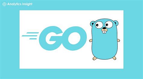 top go frameworks for backend development